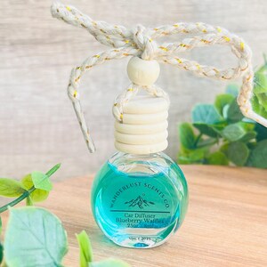 Car Diffuser Hanging Diffuser for Small Area Car Hanging Decor Cute Car ...