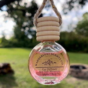 Car Diffuser Hanging Diffuser for Small Area Car Hanging Decor Cute Car ...