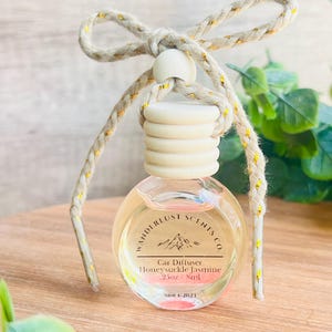 Car Diffuser Hanging Diffuser for Small Area Car Hanging Decor Cute Car ...