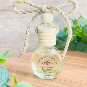 Car Diffuser Hanging Diffuser for Small Area Car Hanging Decor Cute Car ...