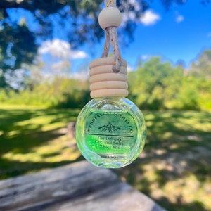 Car Diffuser Hanging Diffuser for Small Area Car Hanging Decor Cute Car ...