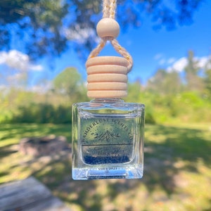 Car Diffuser Hanging Diffuser for Small Area Car Hanging Decor Cute Car ...