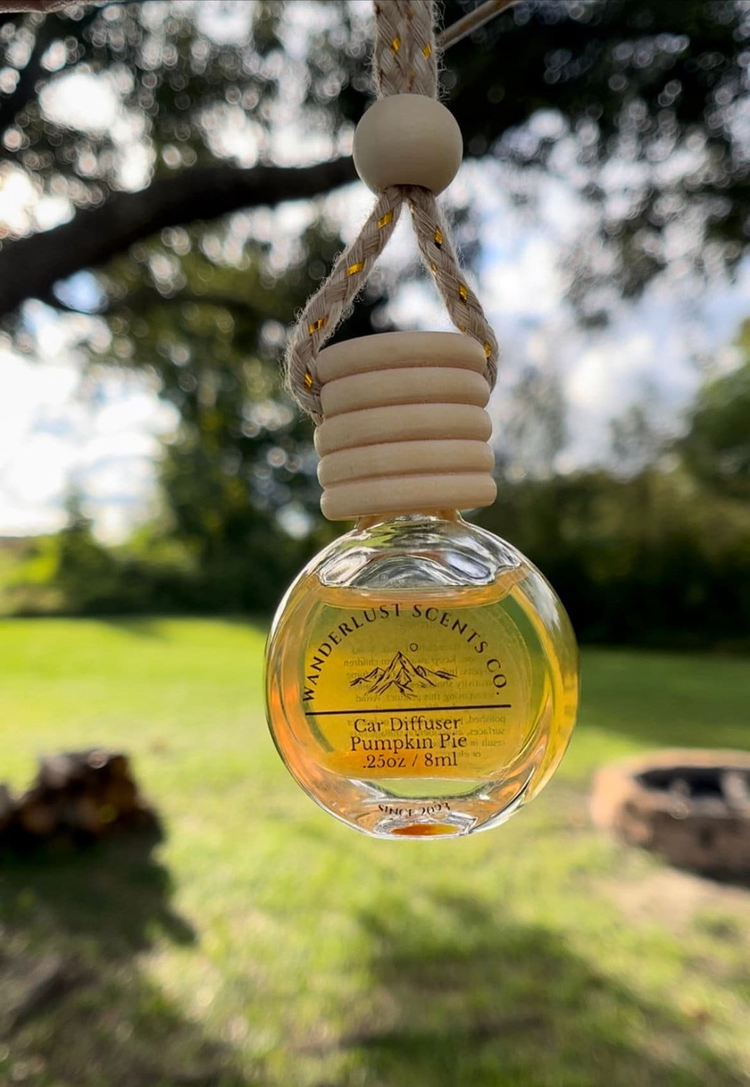 Car Diffuser Hanging Diffuser for Small Area Car Hanging Decor Cute Car ...