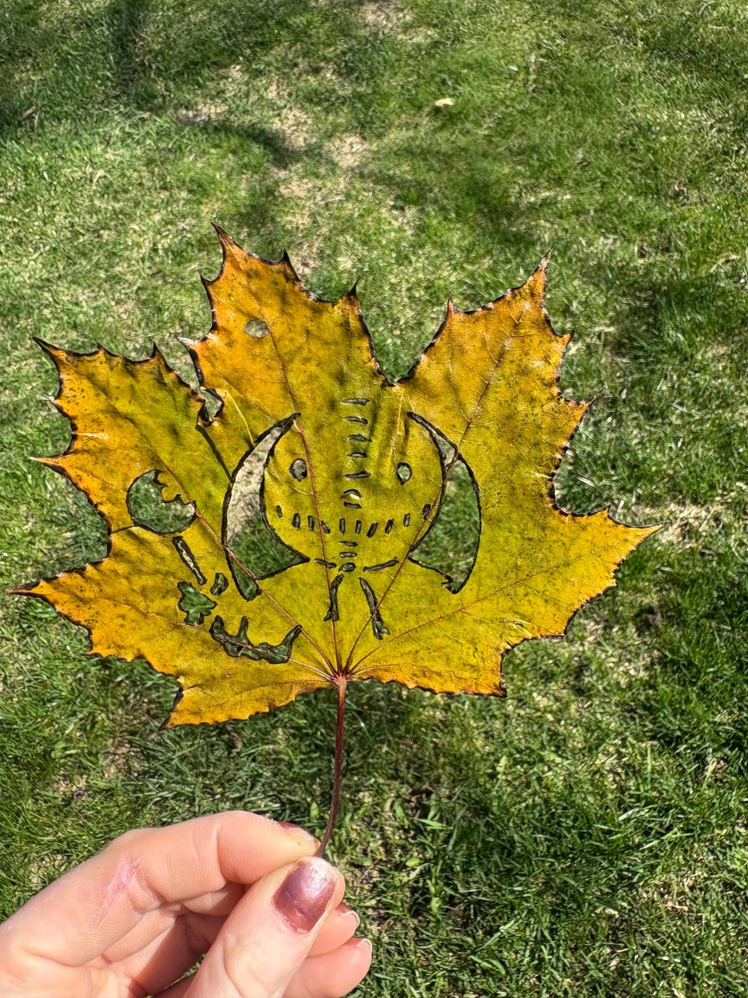 Trick R Treat Samhain Halloween Horror Movie Burned Maple Leaf - Scary ...