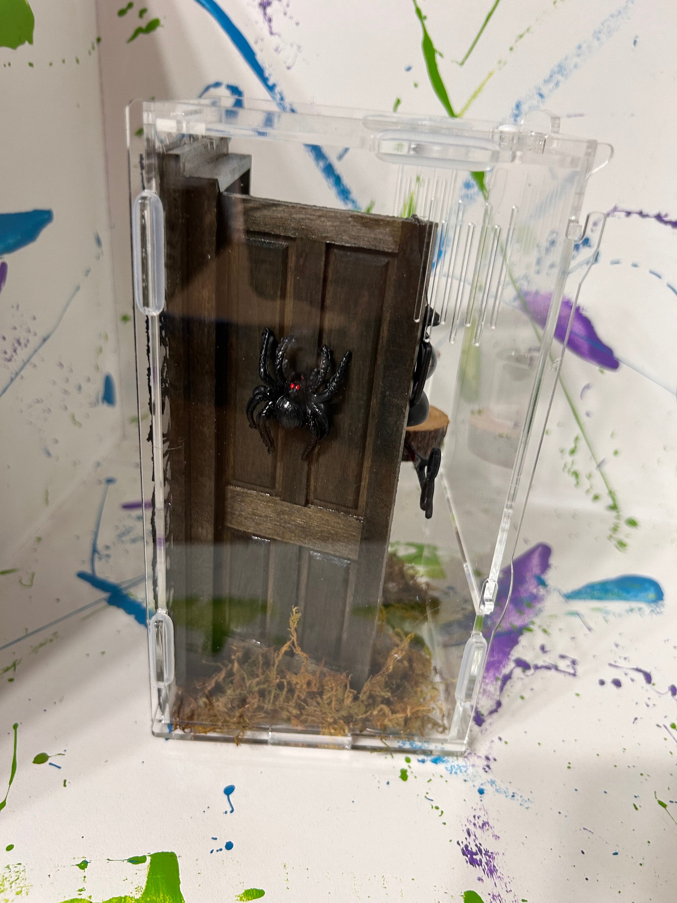 Jumping Spider Enclosure - Etsy