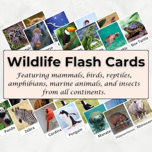 LearningLaunchpad - Etsy Australia