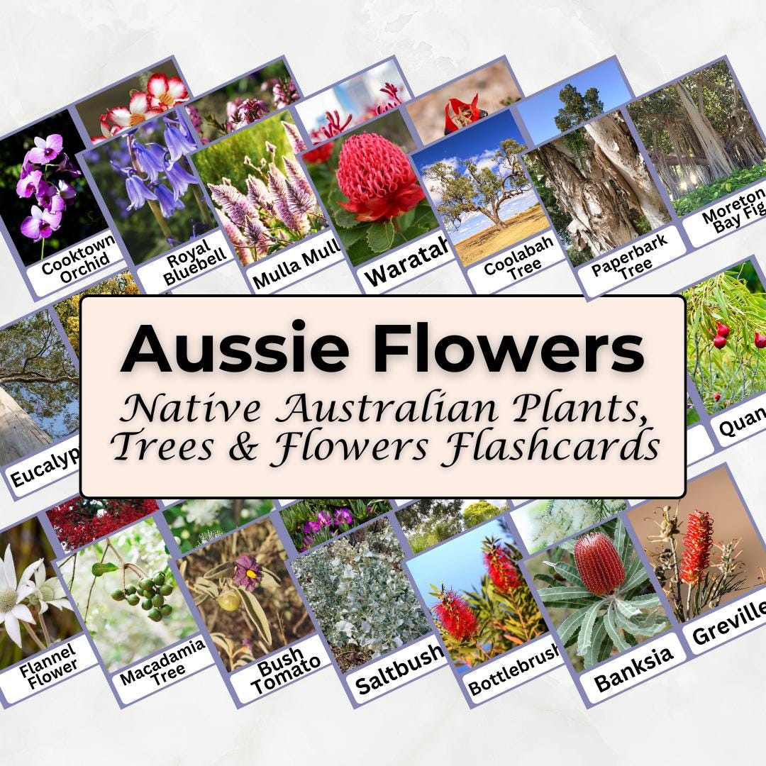Australian Flora Flashcards – Printable PDF for Children & Educators - Etsy