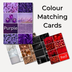 Colour Matching Cards Digital Printable. Ignite Colorful Learning With ...