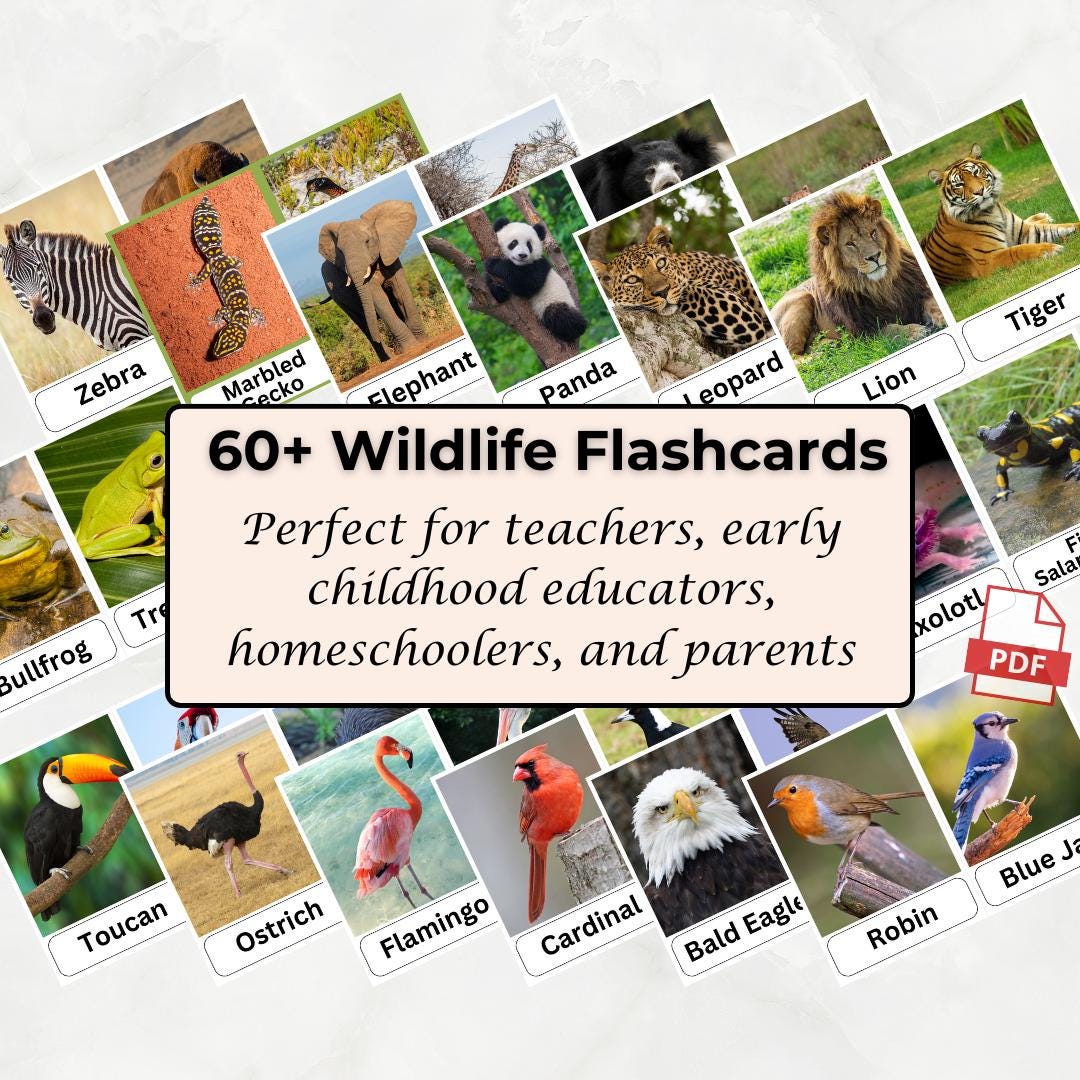 Wildlife Flashcards – Wild Animal Printable Flash Card Posters PDF for ...