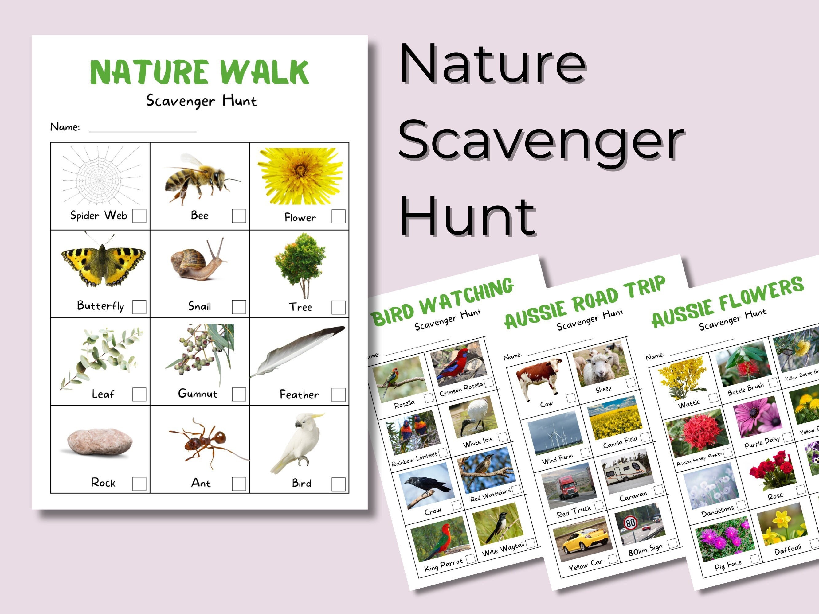 Nature Walk Scavenger Hunt Printable Checklist. Australian Flowers ...
