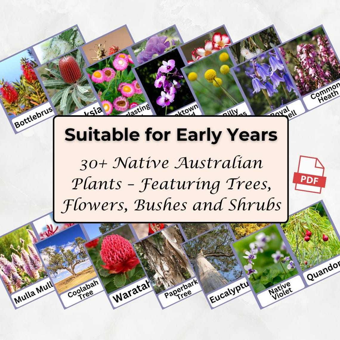 Australian Flora Flashcards – Printable PDF for Children & Educators - Etsy