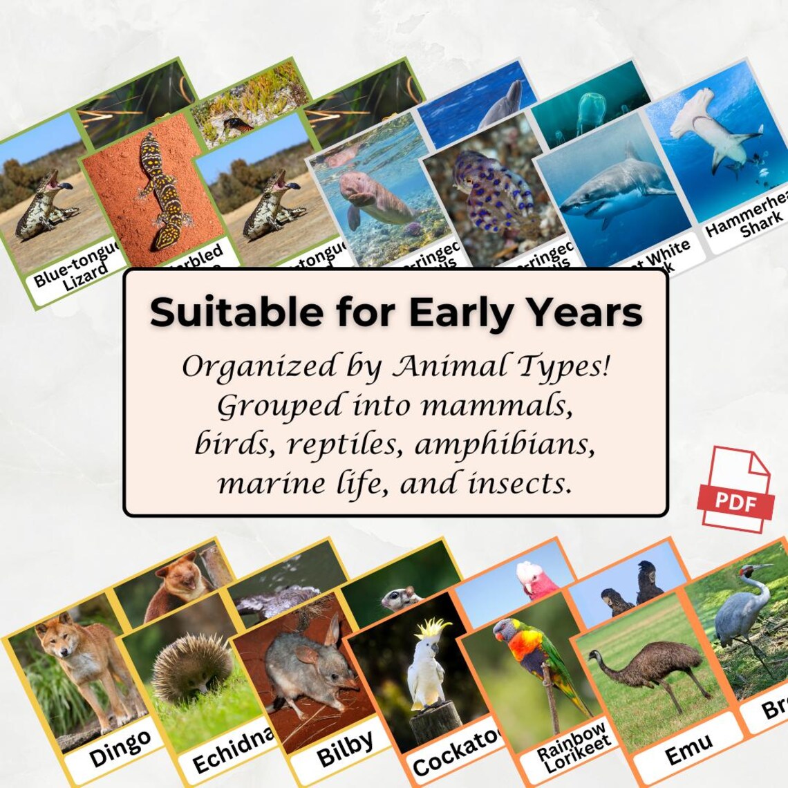 Australian Animals Flashcards – Printable PDF for Children & Educators ...