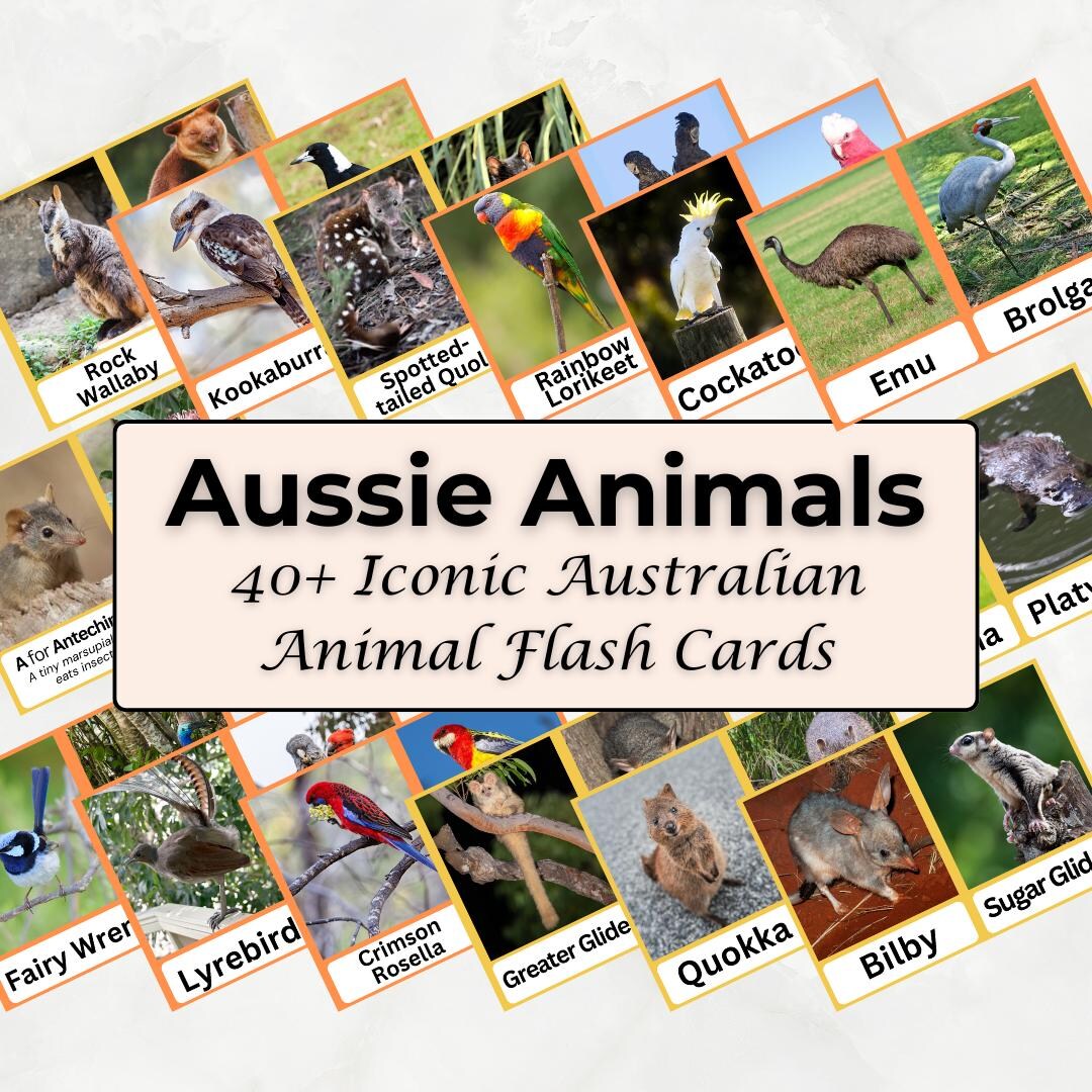 Australian Animals Flashcards – Printable PDF for Children & Educators ...