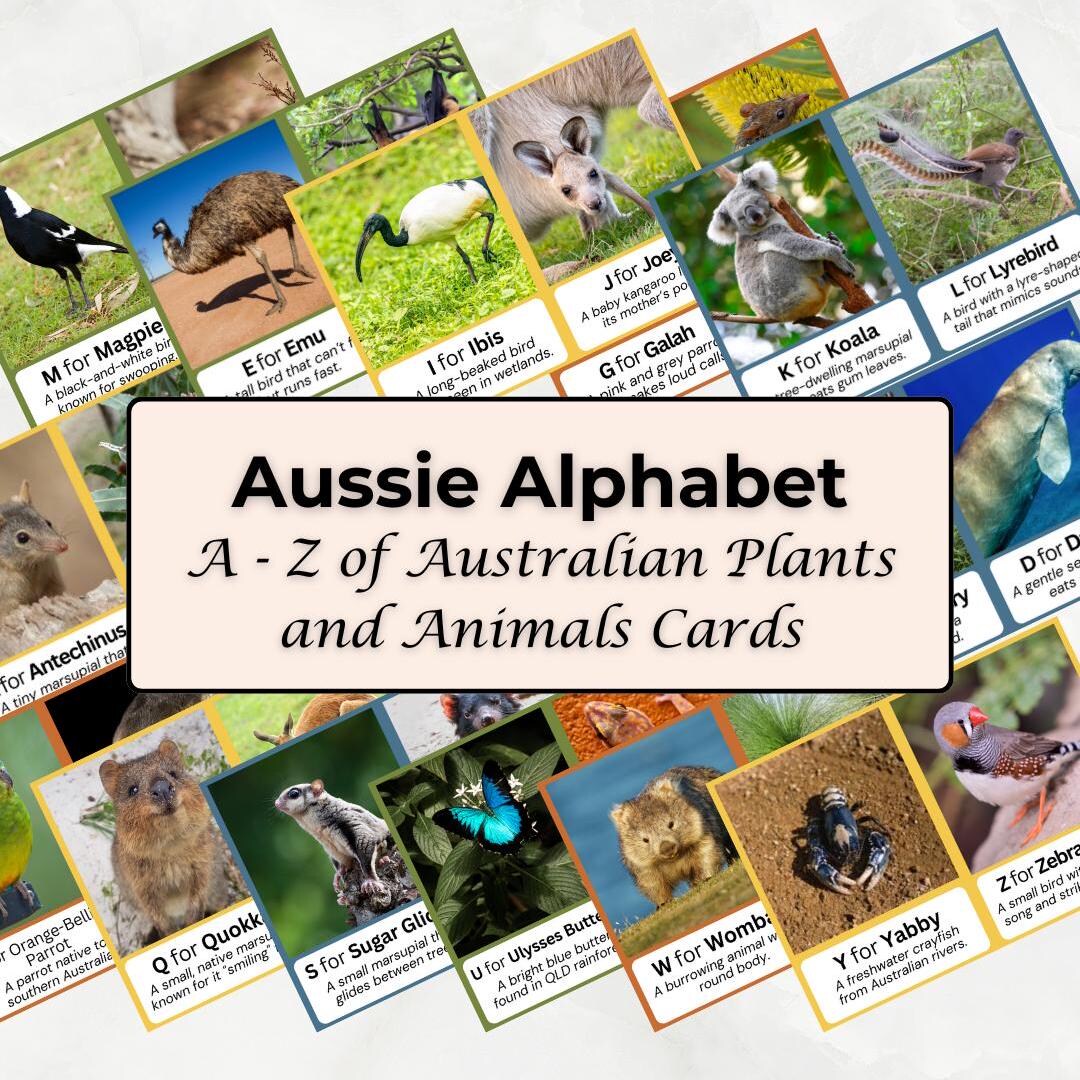 Australian Wildlife A-Z Flash Cards – Fun & Educational for Early Years ...