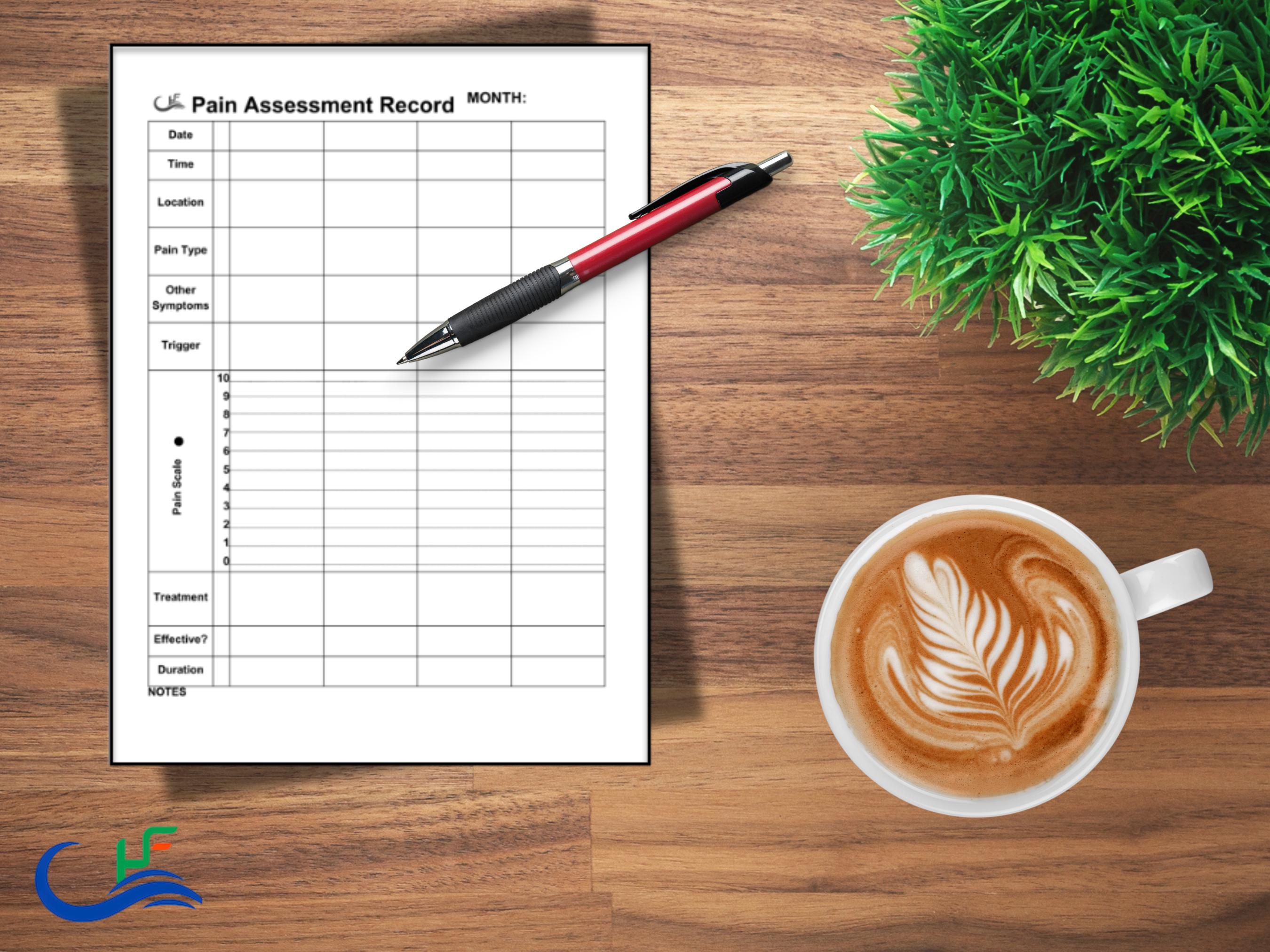 Daily Pain Assessment Record - Printable - Pain Symptom Tracker Log - Etsy