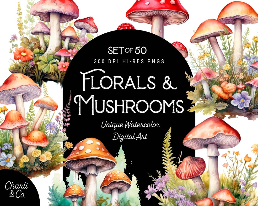 Set of 50, Watercolor Mushroom Clipart, Watercolor Mushroom PNG ...