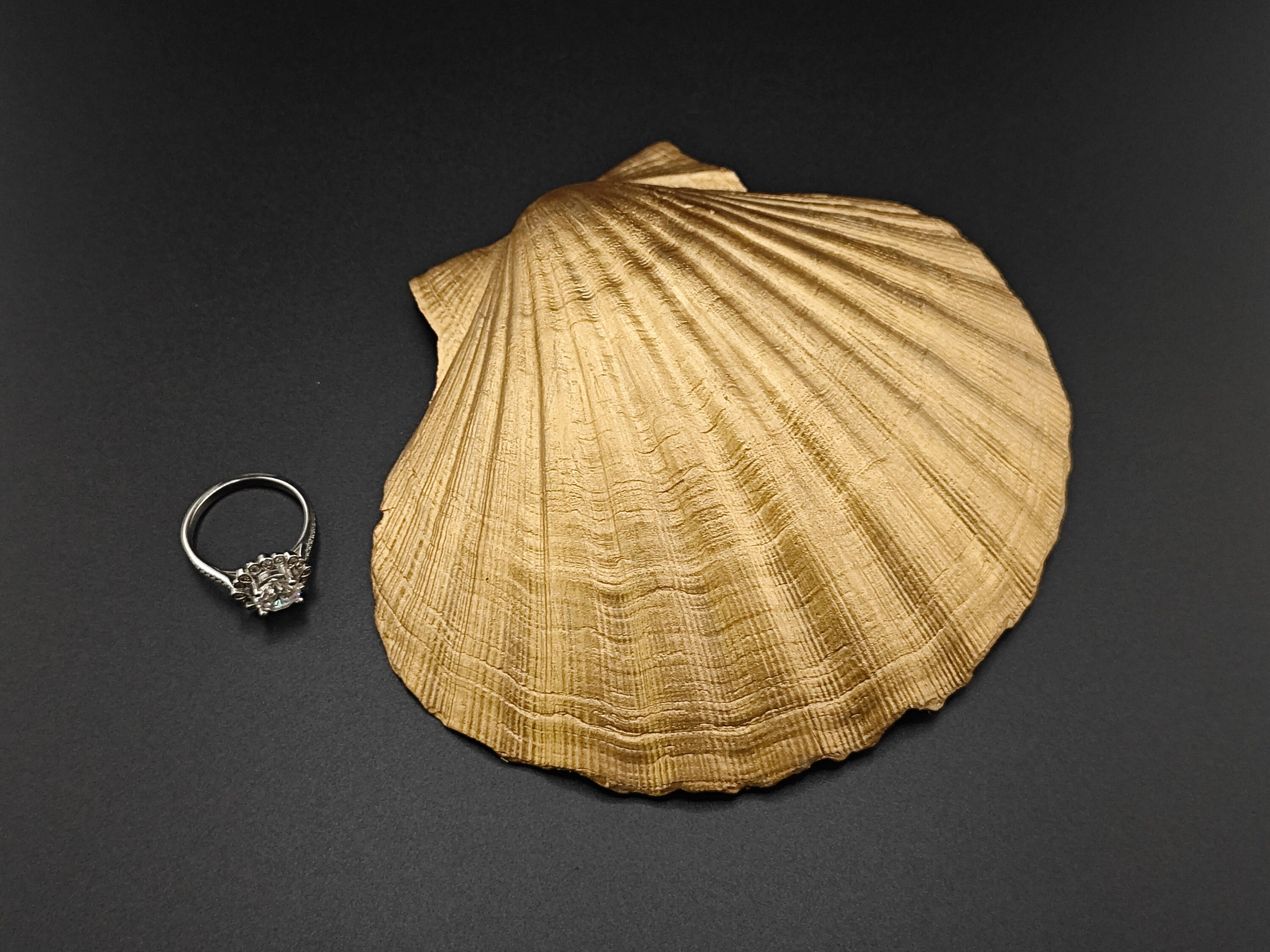 Natural XL Scallop Shell Trinket Dish, Jewellery, Premium Gold Finish ...
