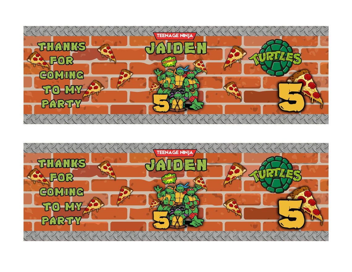 Ninja Turtles Chip Bags, Ninja Turtles Juice Pouches, Ninja Turtles ...