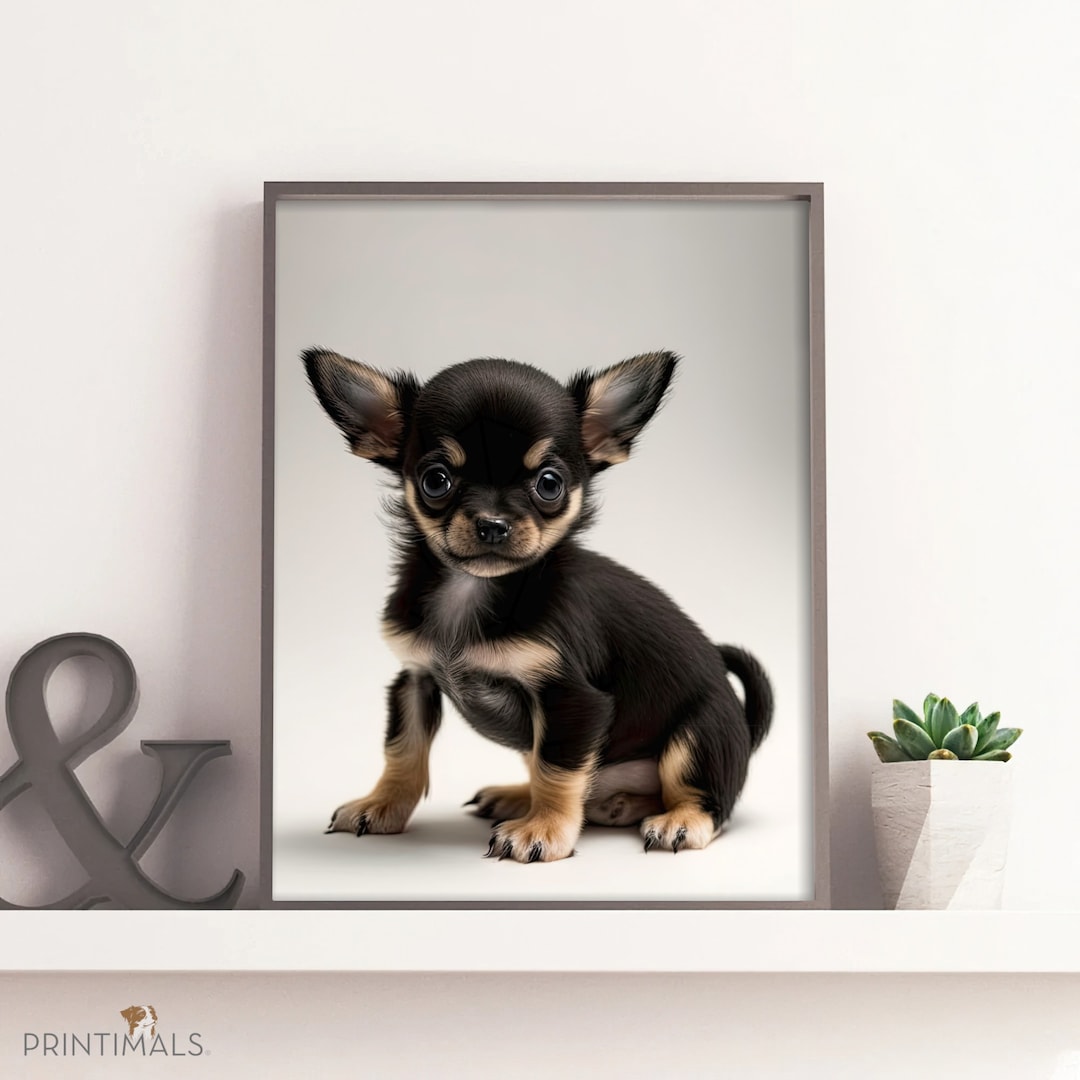 Chihuahua Printable, Chihuahua Print, Chihuahua Poster, Chihuahua, Wall ...