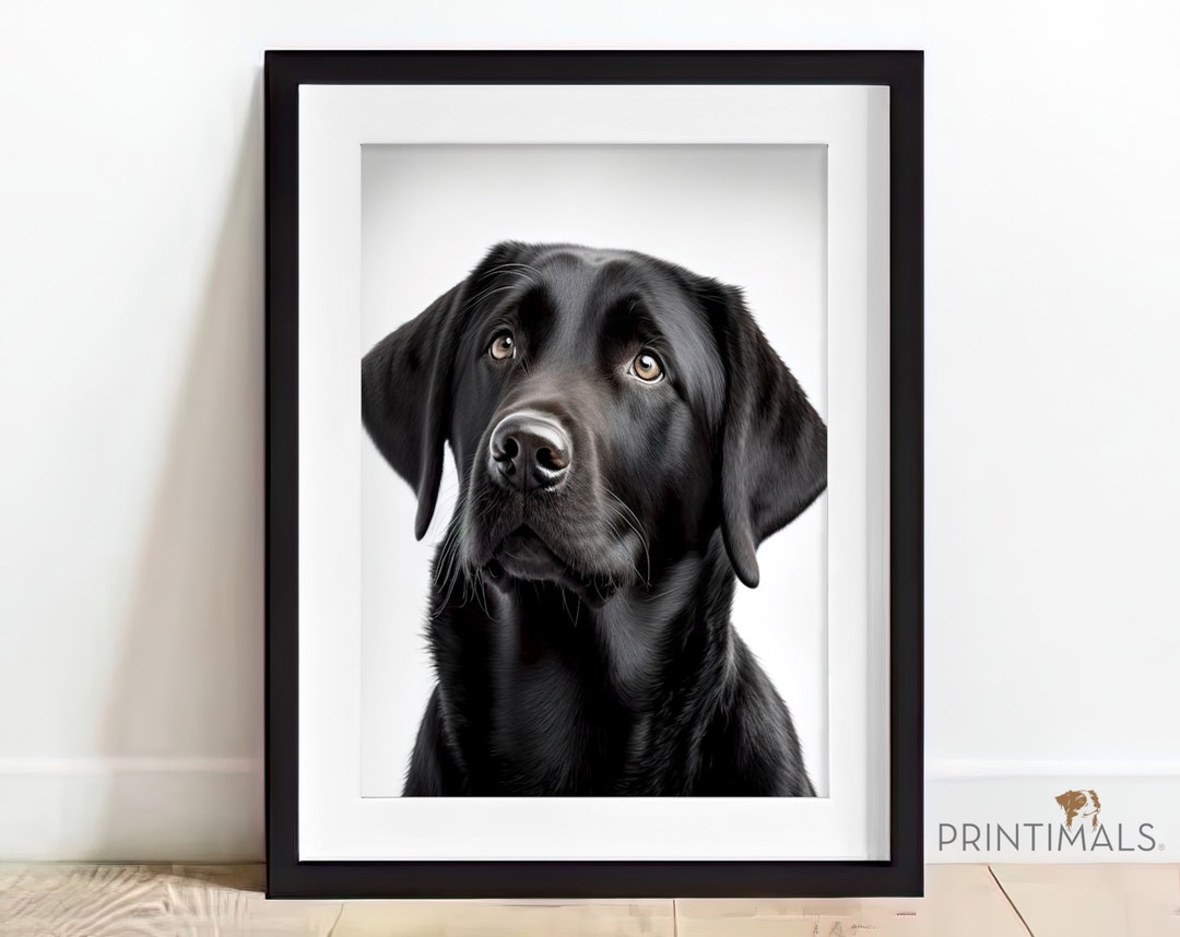 Labrador Printable, Black Lab Print, Black Lab Poster, Labrador ...