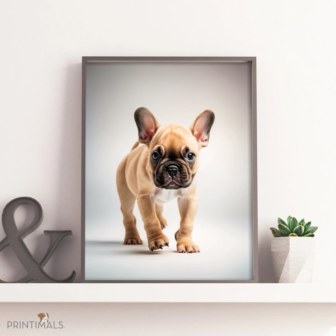 Frenchie Printable, French Bulldog Print, Frenchie Poster, French ...