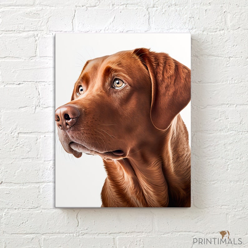 Labrador Printable, Red Lab Print, Red Lab Poster, Labrador Retriever ...