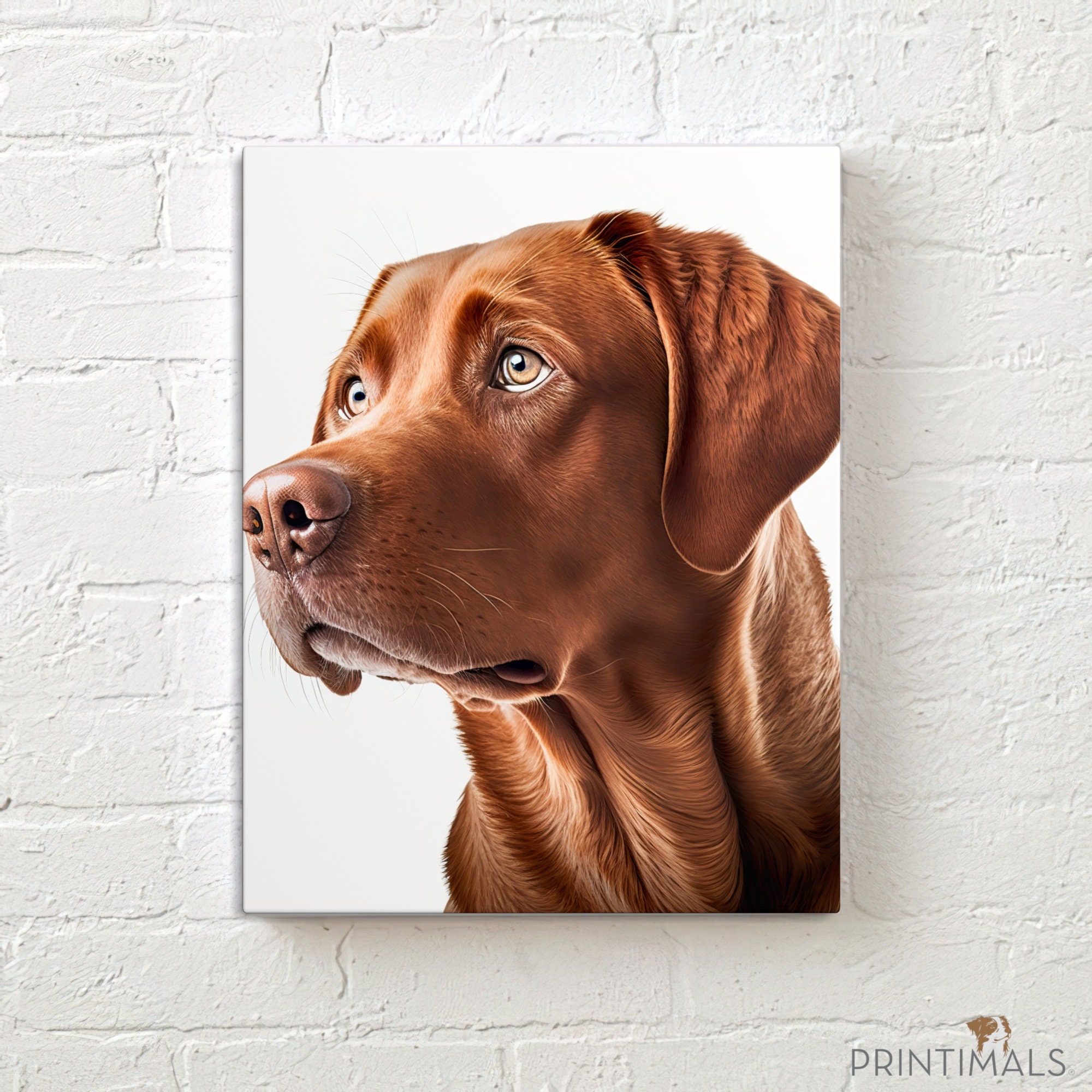 Labrador Printable, Red Lab Print, Red Lab Poster, Labrador Retriever ...