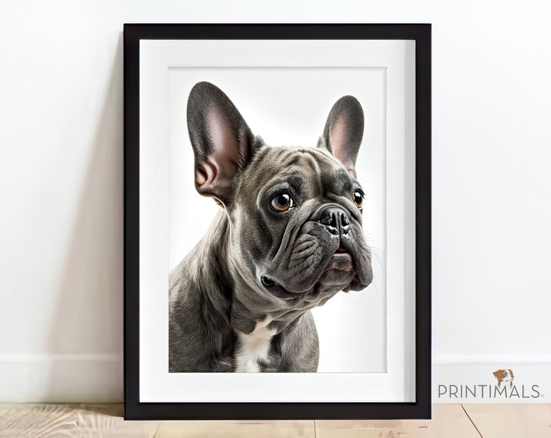 Frenchie Printable, French Bulldog Print, Frenchie Poster, French ...