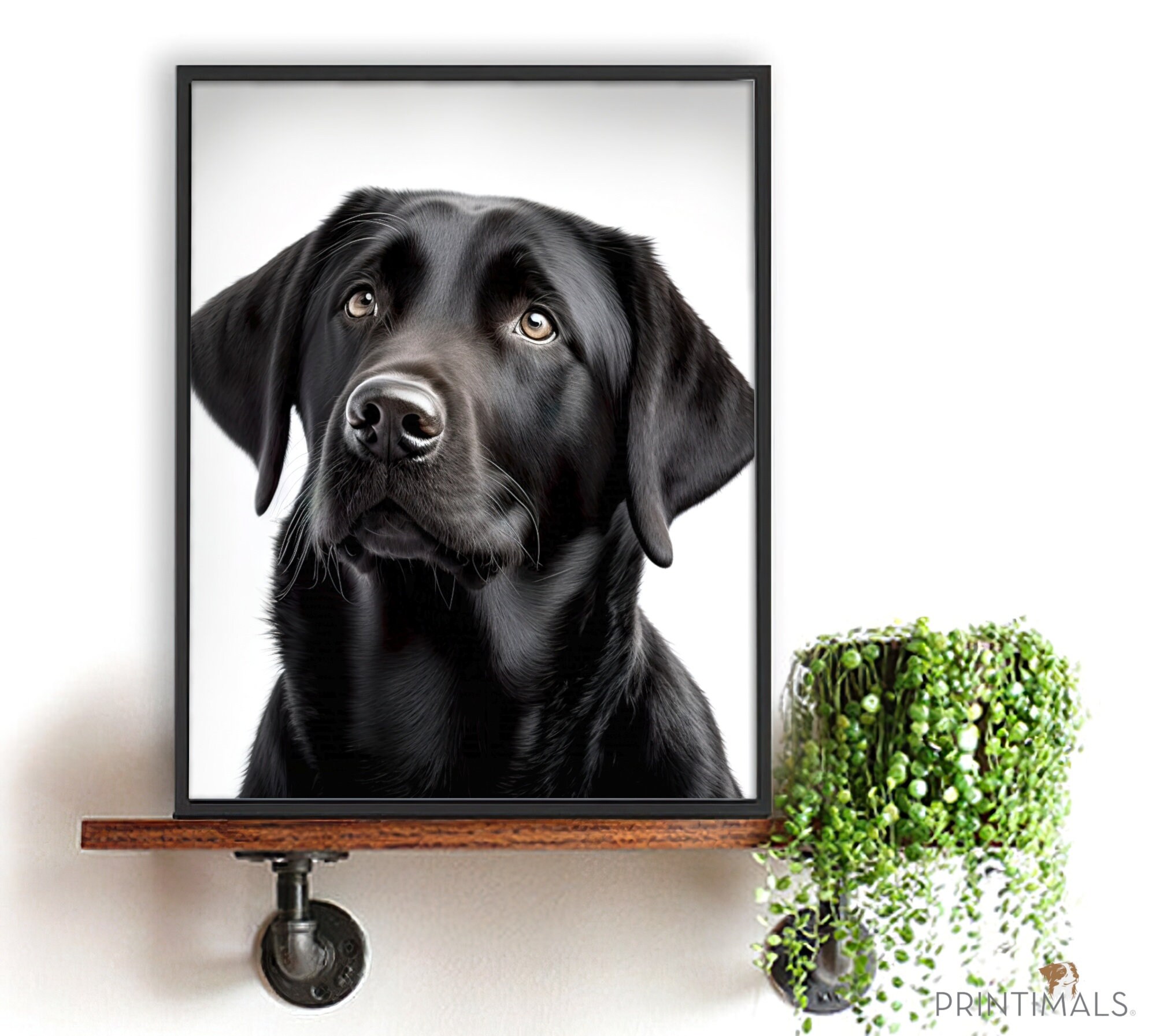 Labrador Printable, Black Lab Print, Black Lab Poster, Labrador ...