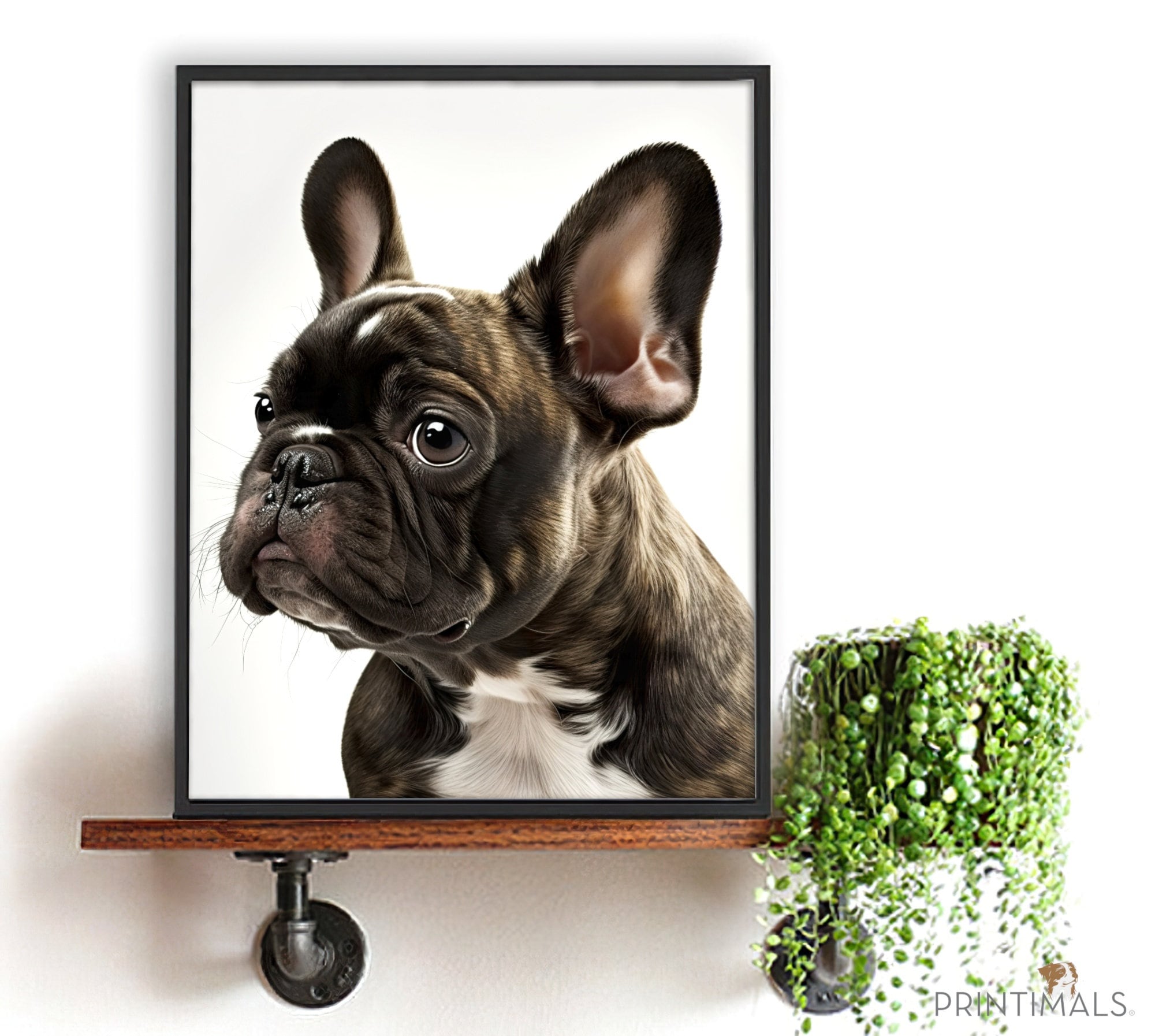 Frenchie Printable French Bulldog Print Frenchie Poster - Etsy