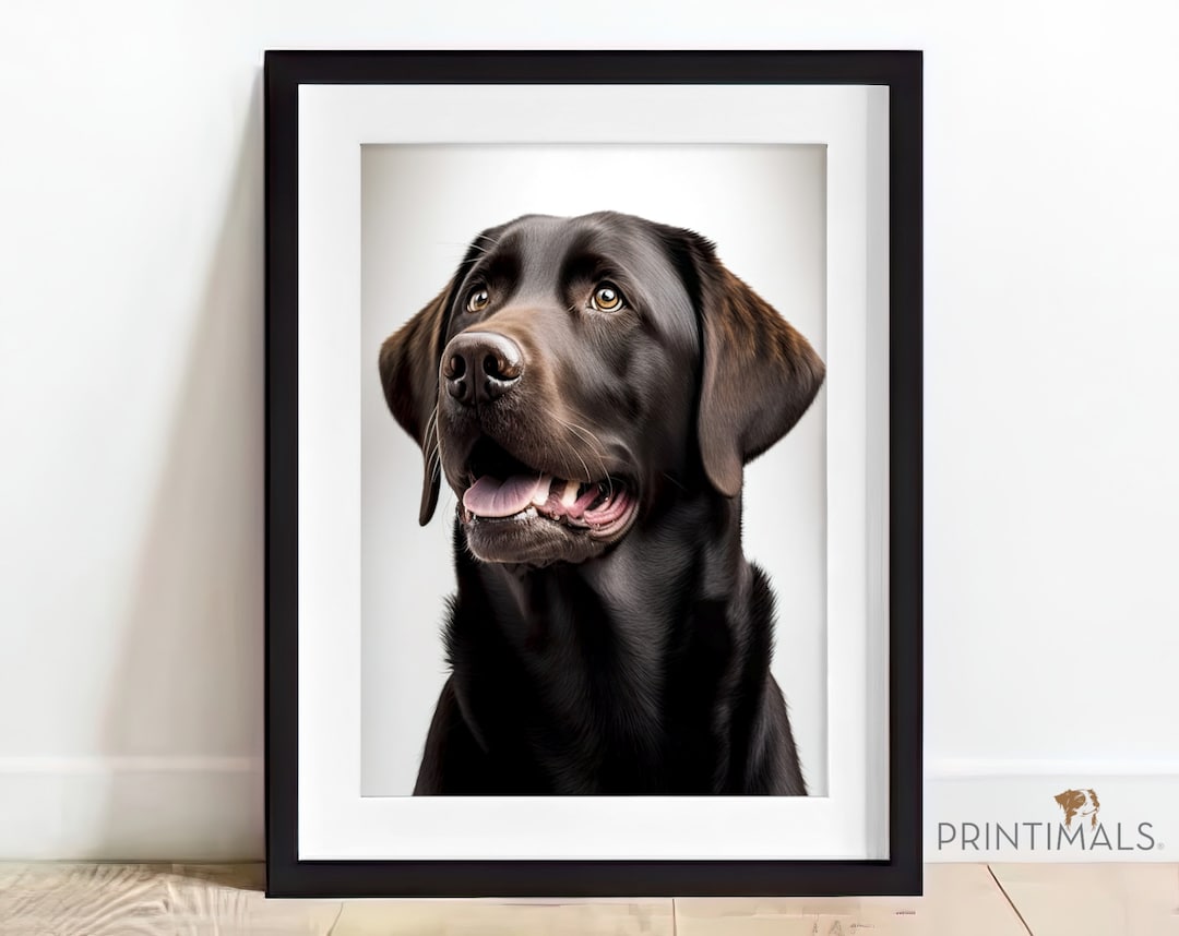 Labrador Printable, Chocolate Lab Print, Chocolate Lab Poster, Labrador ...