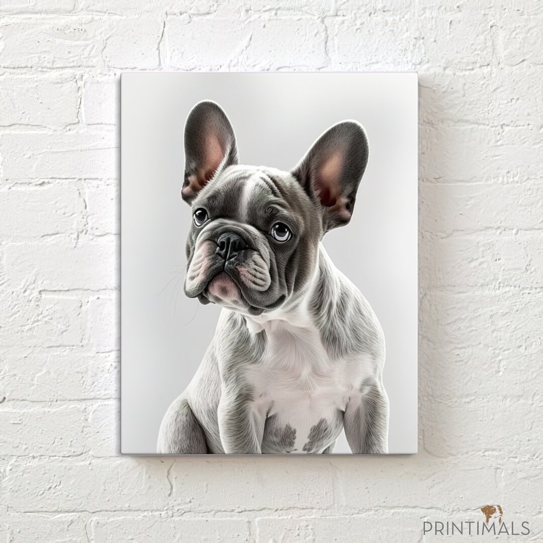 Frenchie Printable French Bulldog Print Frenchie Poster - Etsy