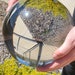 Huge Clear Lead Crystal Scrying Ball, Looking, Gazing, Scrying ~ 200 Ml ...