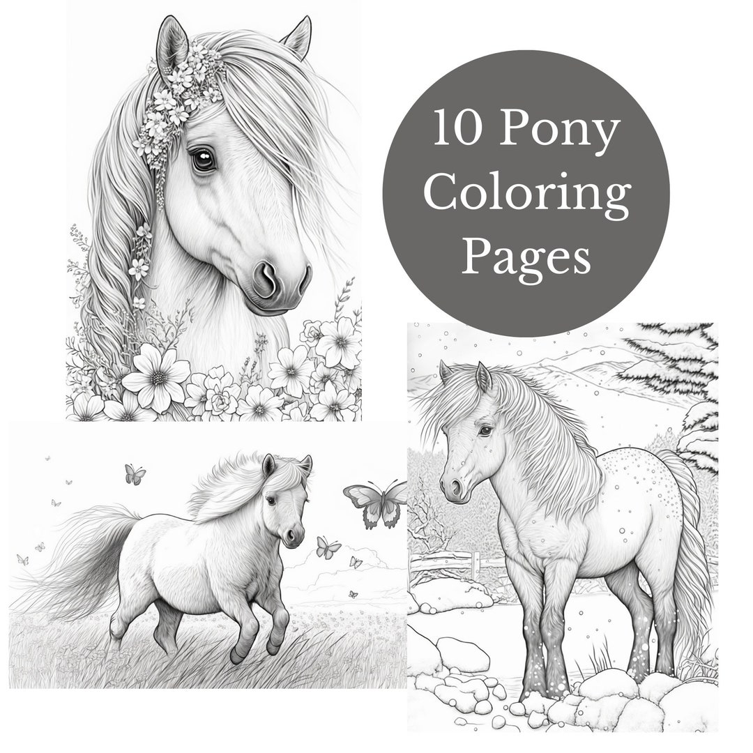 10 Pony Coloring Pages PDF Download High Quality Realistic Shetland ...