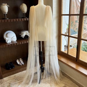 Minimalist Tulle Bridal Wings, Champagne Wedding Wings, Detachable ...