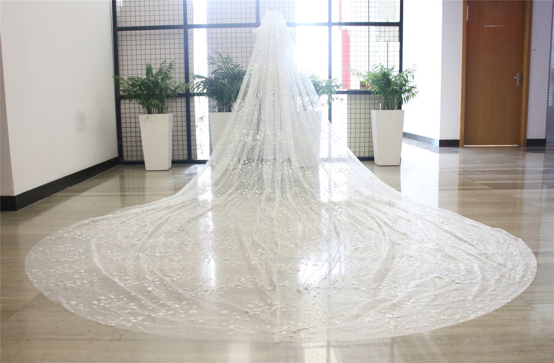 Fantastic Starry Sky Themed Wedding Veil Dreamful Stars Wedding Veil ...