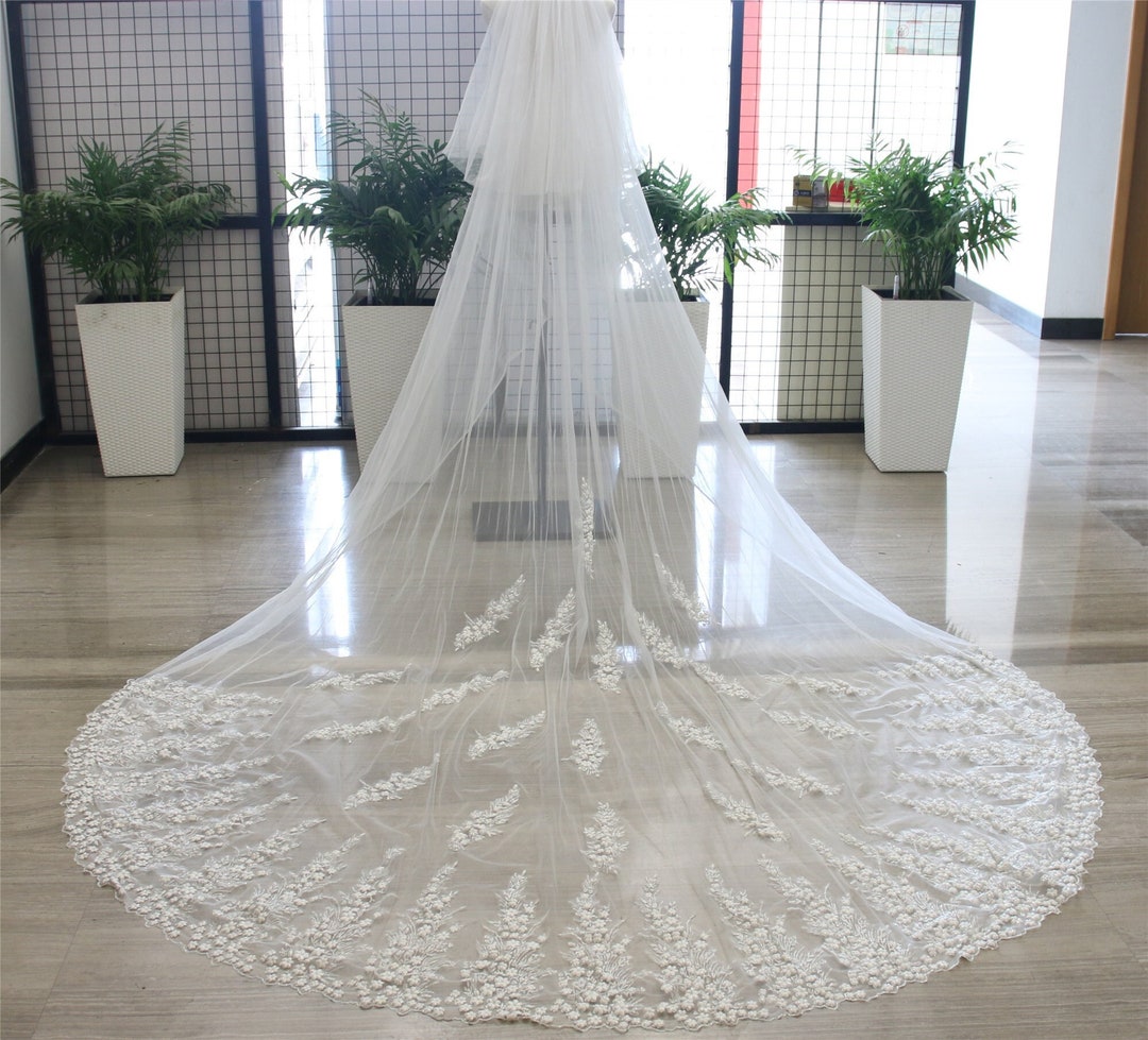 Celestial Flower Lace Bridal Veil Sparkly Lace Cathedral Veil Bridal ...