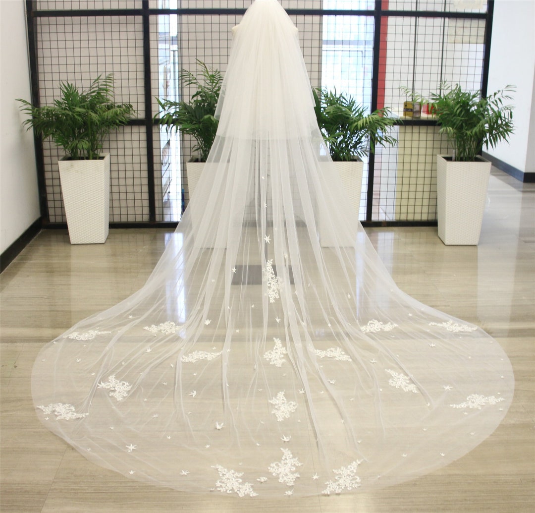 Scattered Lace Veil Long Veil White/ivory/champagne/beige Veil Romantic ...