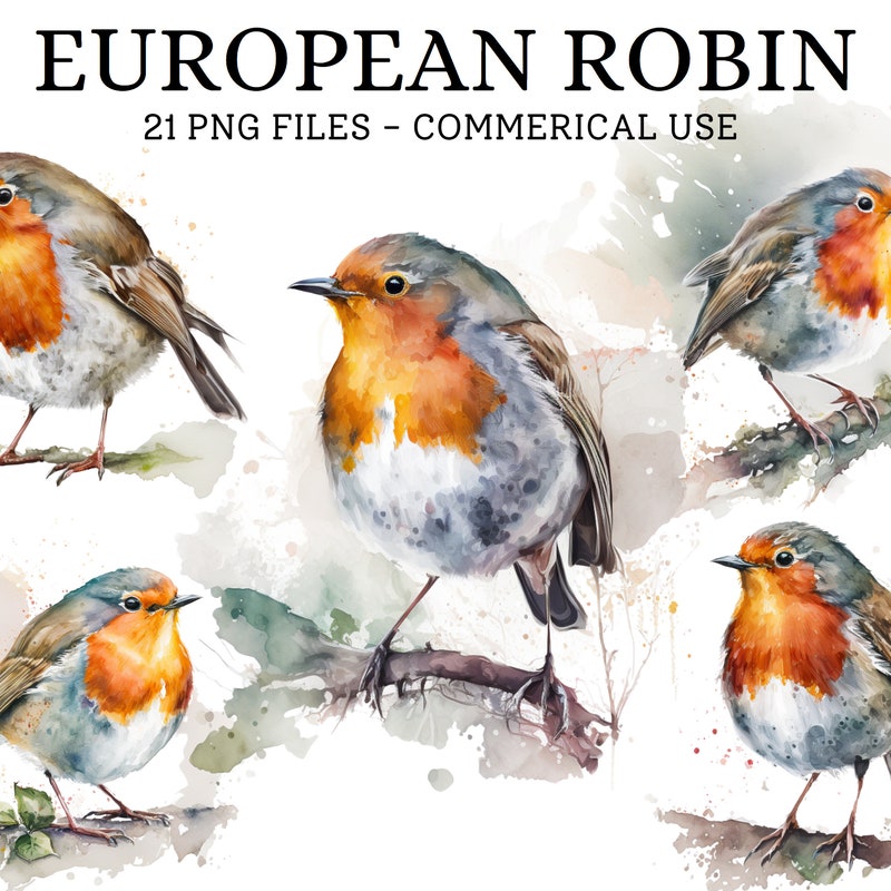 Robin Watercolor - Etsy