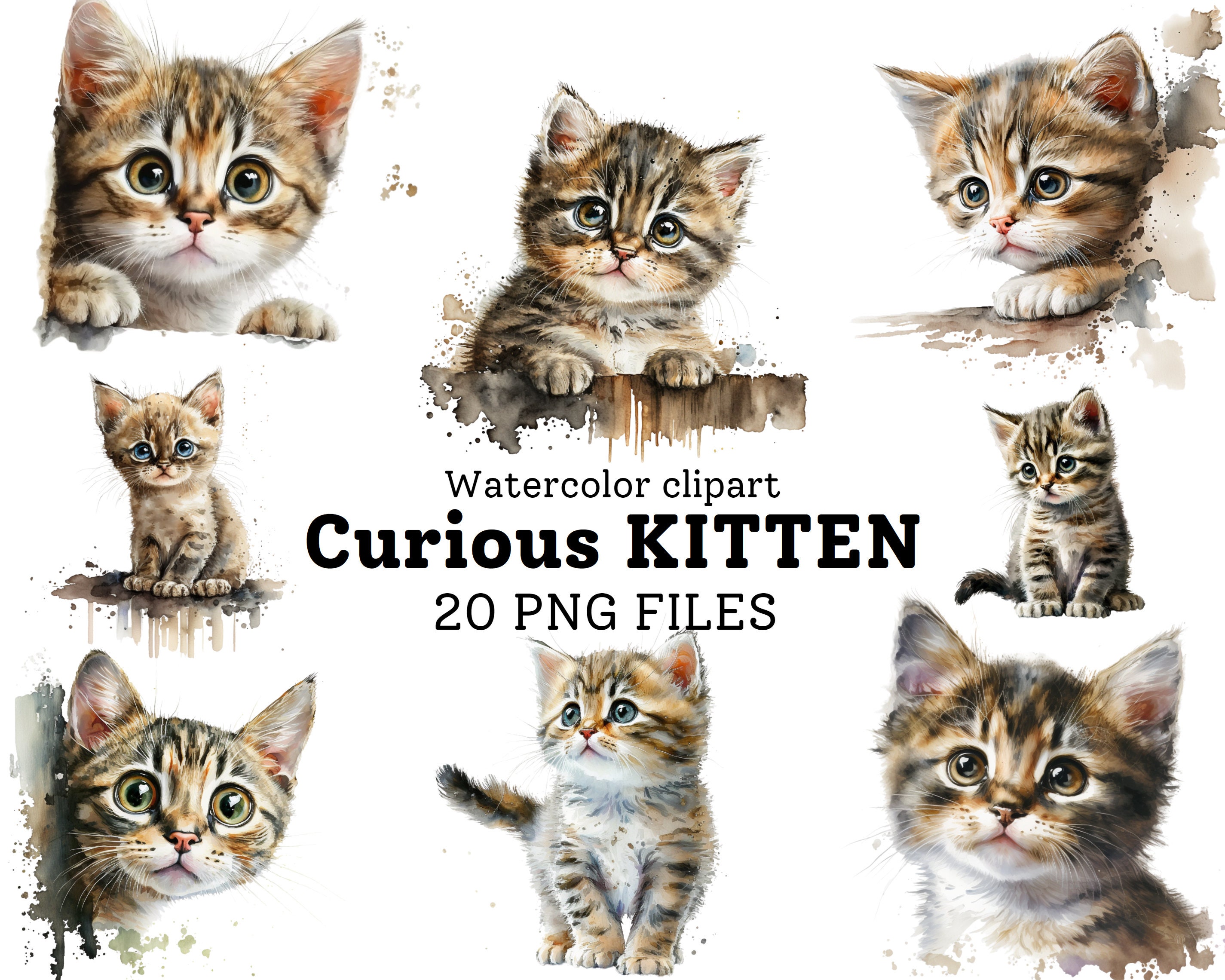 Curious Cat Clipart