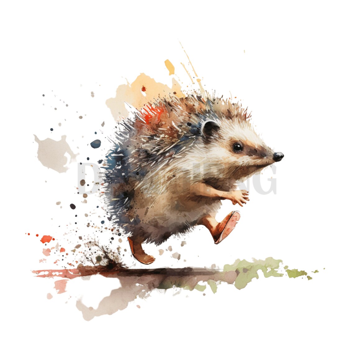 Cute Hedgehog Exercising Clipart Watercolour 12 High Quality - Etsy