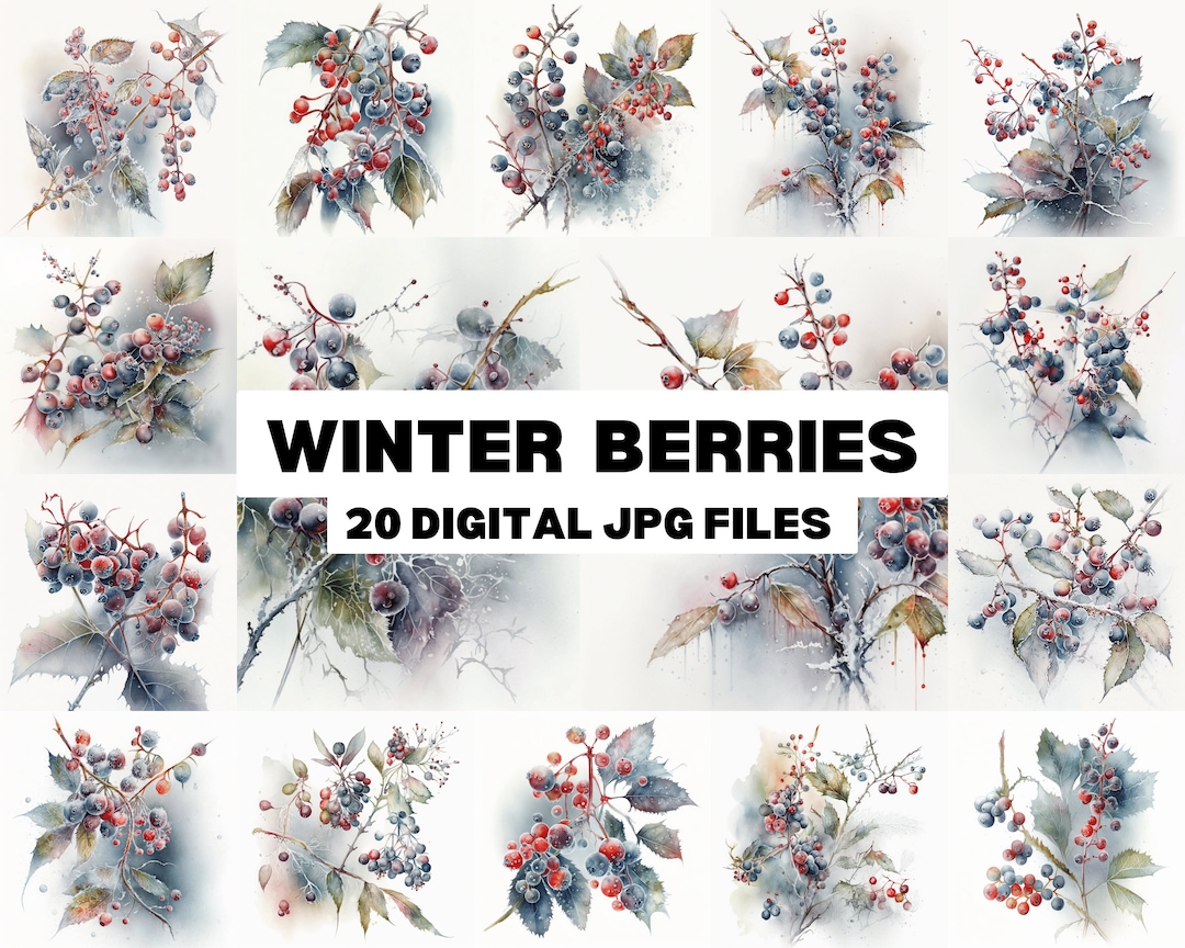 Winter Berries Clip Art Watercolour - 20 High Quality PNG - Winter ...