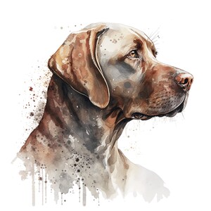 Brown Labrador Clip Art Watercolour - 12 High Quality PNG - Brown ...