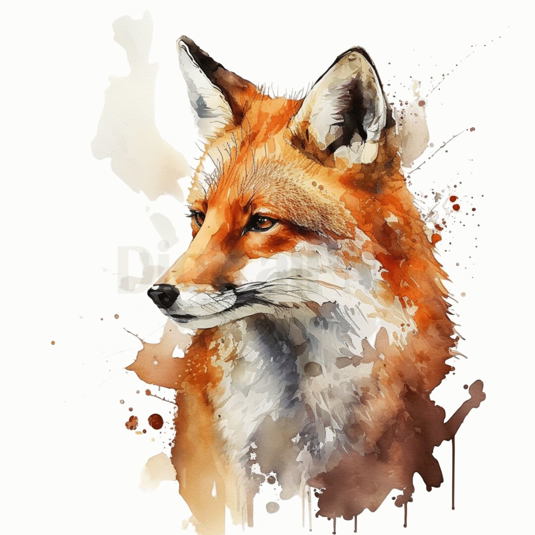 Fox Clip Art Watercolour - 12 High Quality PNG - Fox Clipart PNG ...