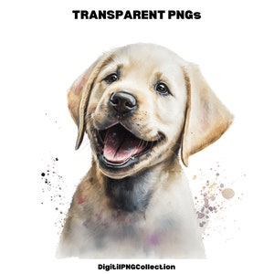 Golden Labrador Clip Art Watercolour - 13 High Quality PNG - Golden ...