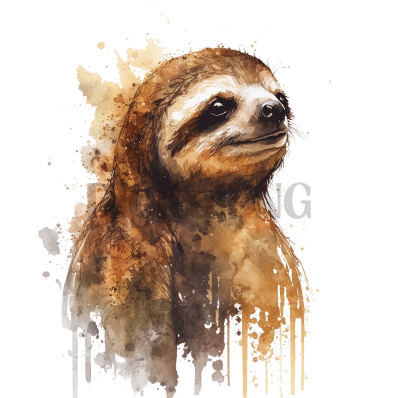 Happy Sloth Clip Art Watercolour 10 High Quality PNG Happy - Etsy