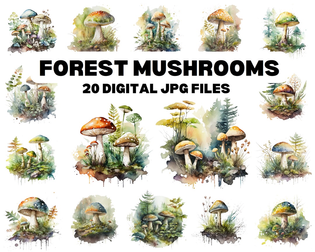Forest Mushrooms Clipart, 20 Jpgs, Illustration Clipart, Junk Journal ...