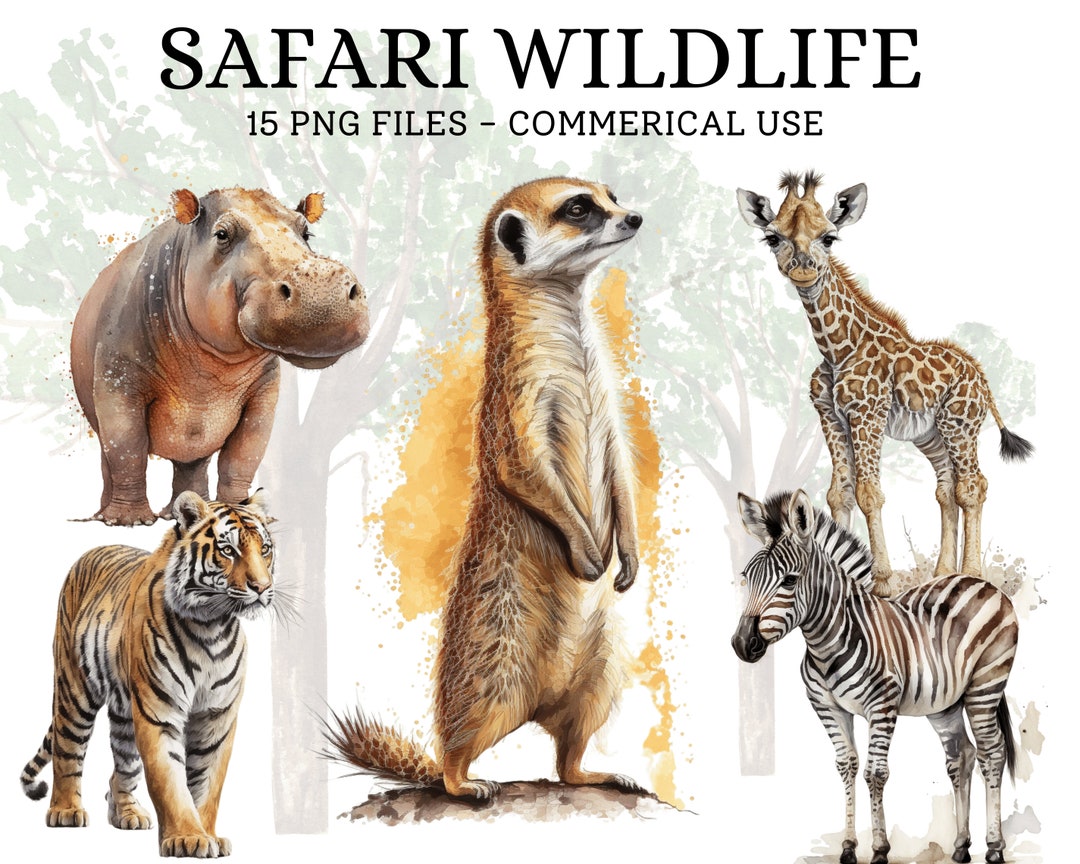 Watercolour Safari Animals Clipart 15 Transparent Pngs, Sublimation ...