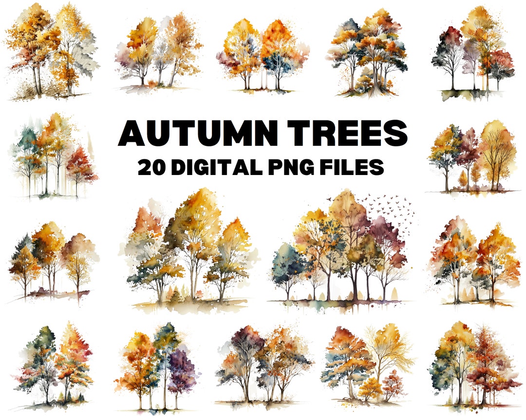 Autumn Trees Clip Art Watercolour - 20 High Quality PNG - Autumn Trees ...