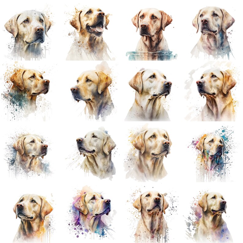 Golden Labrador Clip Art Watercolour 18 High Quality PNG - Etsy